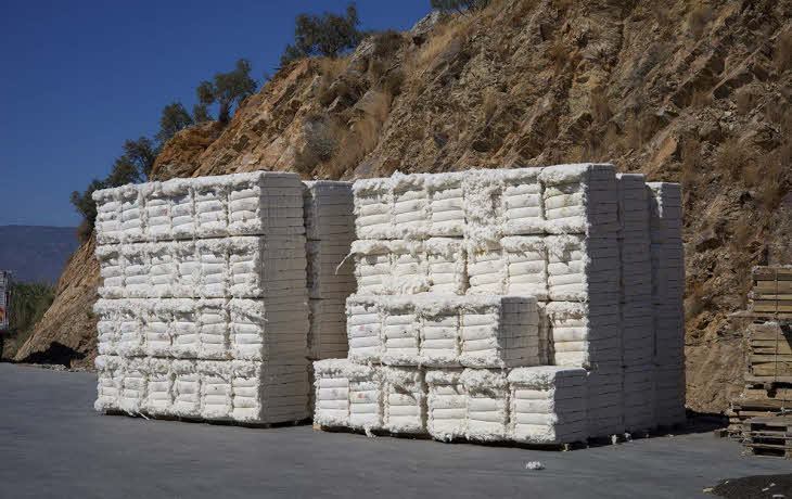 Raw GOTS certified organic cotton fibres